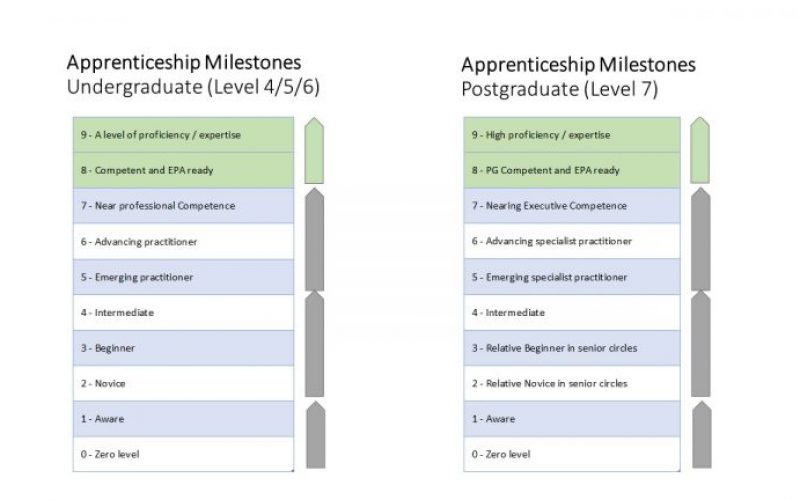 Milestones to understand starting point prepare for your Progress ...