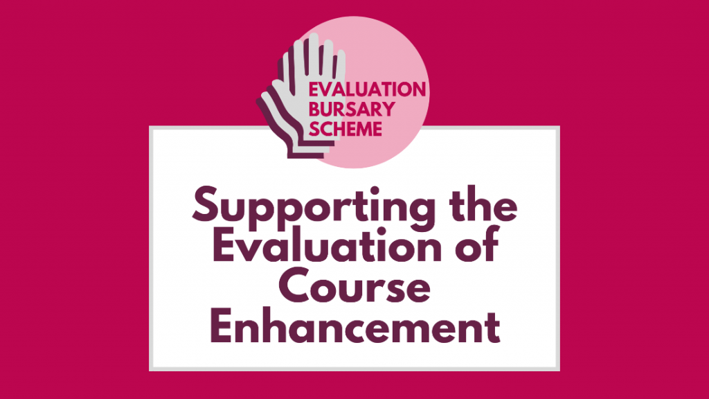 New SETL/STEER Course Evaluation Bursary Projects Announced – STEER